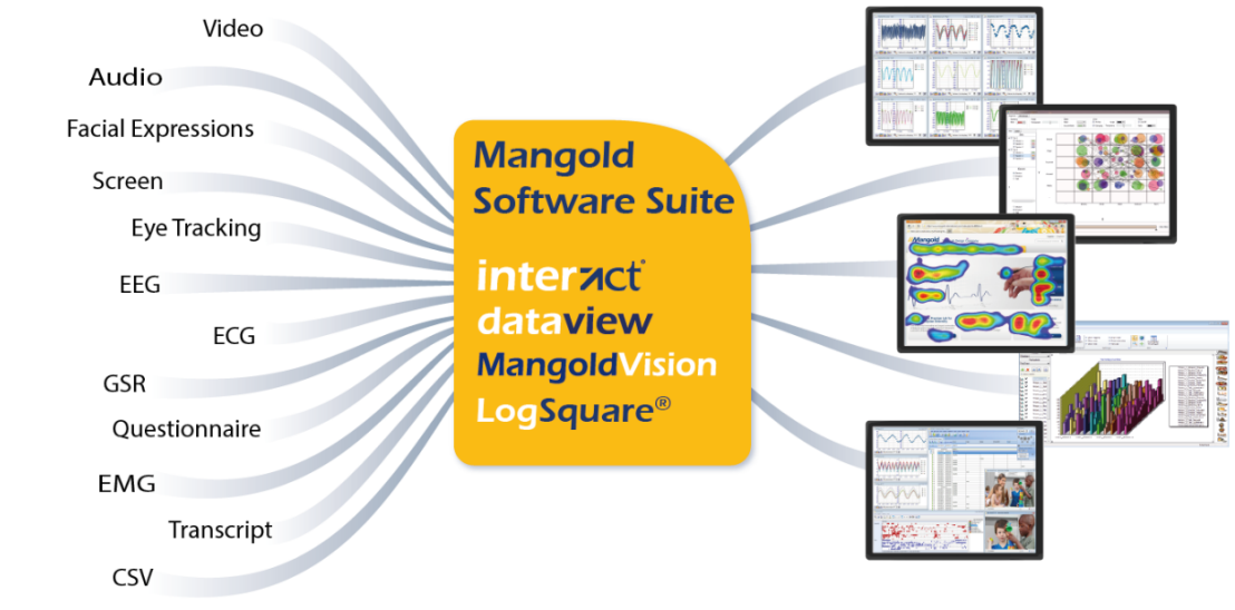 專業行為觀察研究分析軟體 Mangold INTERACT